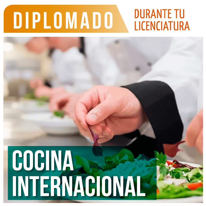 Gastronomía y Alta Cocina
