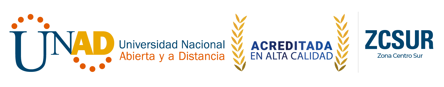 Landing Zona Centro Sur - Pasto